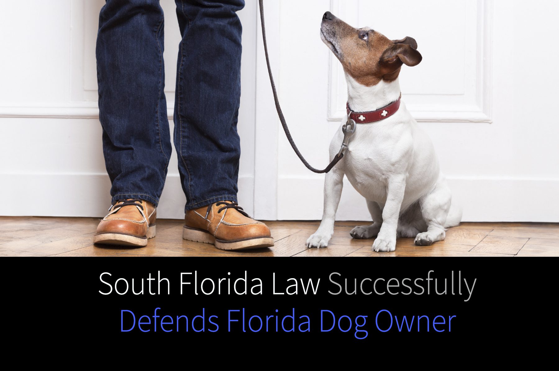 South Florida Law Successfully Defends Florida Dog Owner - South ...